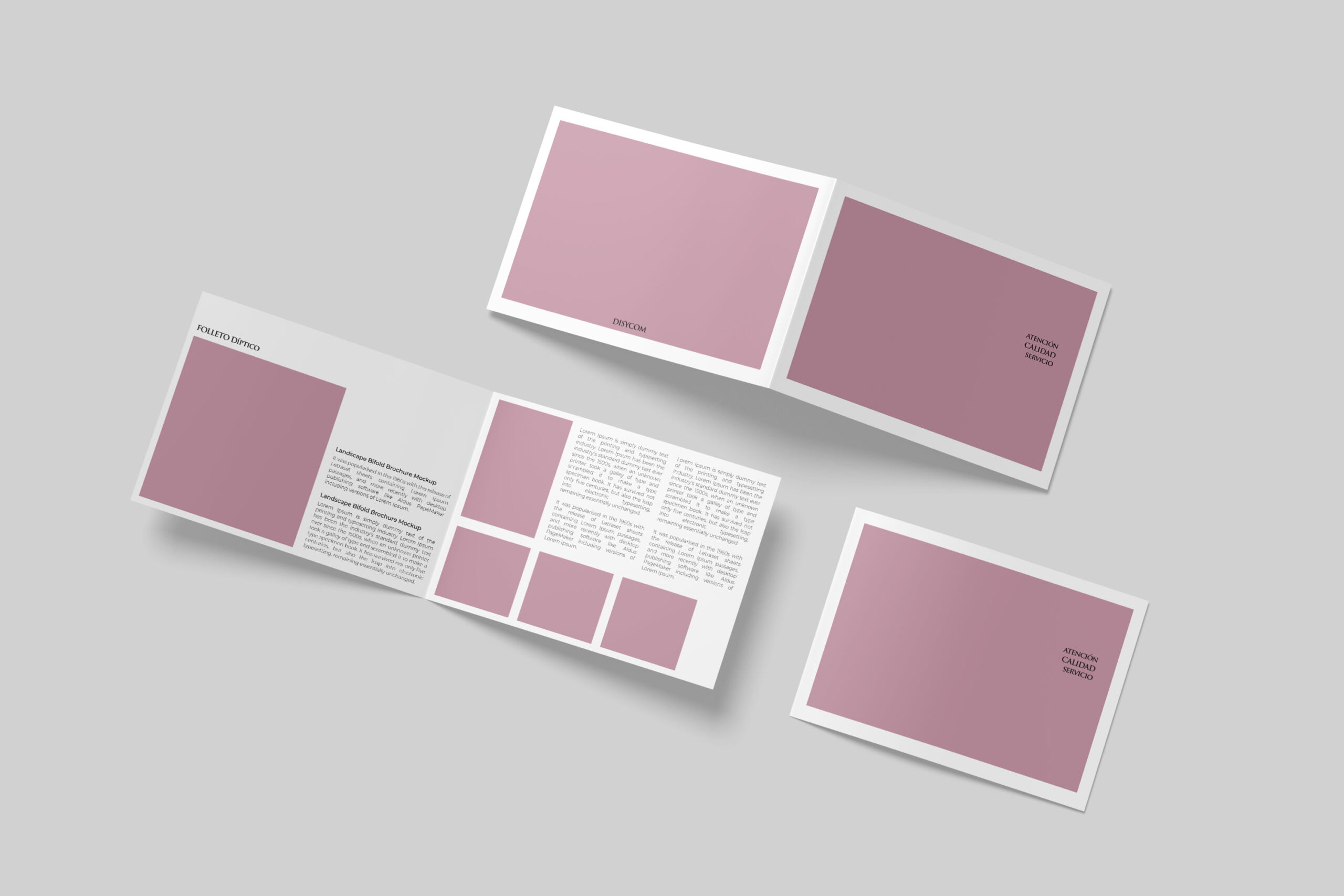 Impresión de folletos, dípticos y trípticos - Disycom